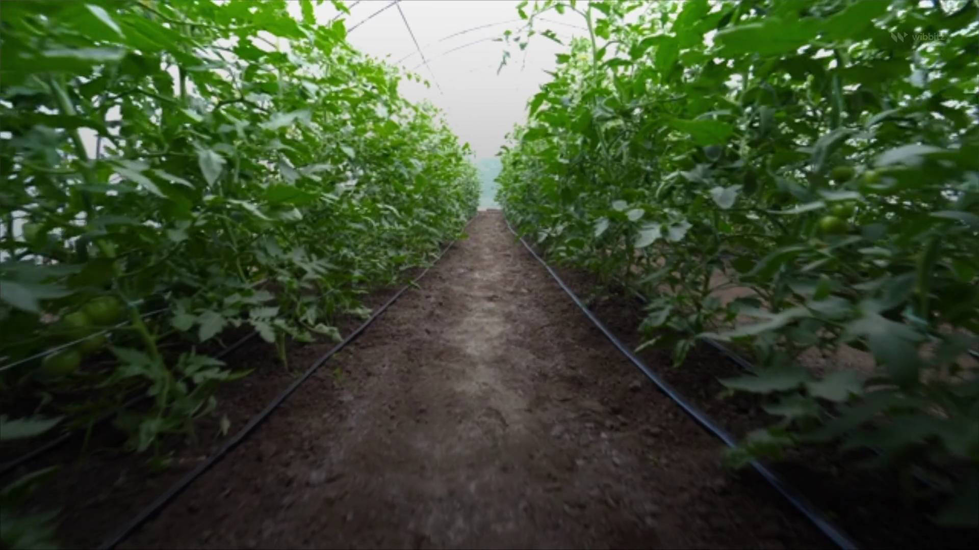 Study Suggests Horticulture Therapy Could Help Fight Depression Study Suggests Horticulture Therapy Could Help Fight Depression