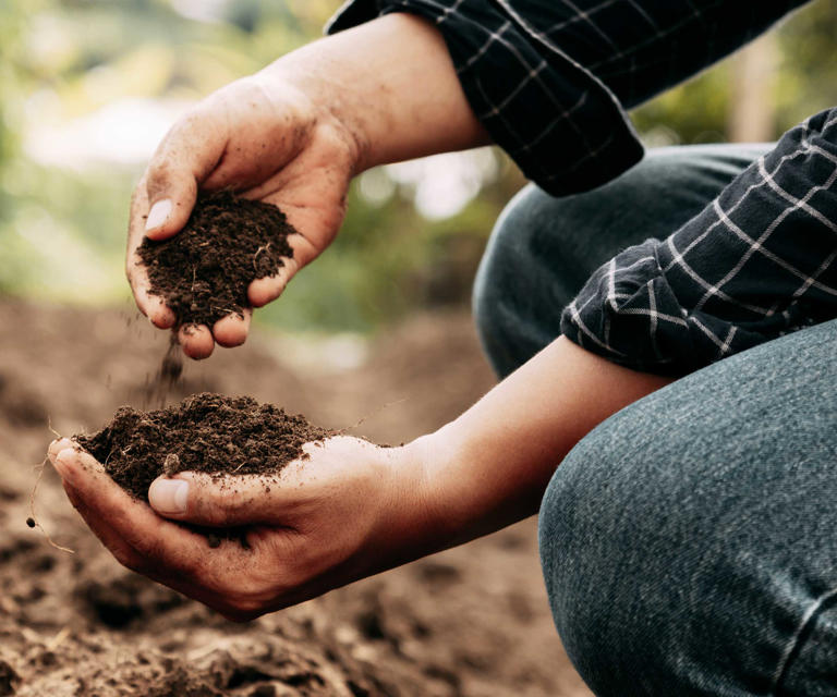 Layering vs turning compost – what's the difference? Compost experts ...