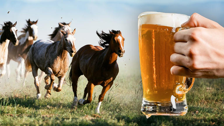 Perché si dice “andare a tutta birra” quando si va veloci? Il ... Perché si dice “andare a tutta birra” quando si va veloci? Il ...