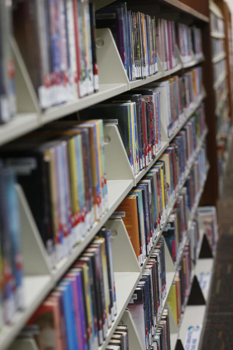 Lubbock Public Library to expand digital collection by over 1 million ...
