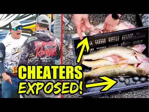 Tournament cheaters caught stuffing fish with weights