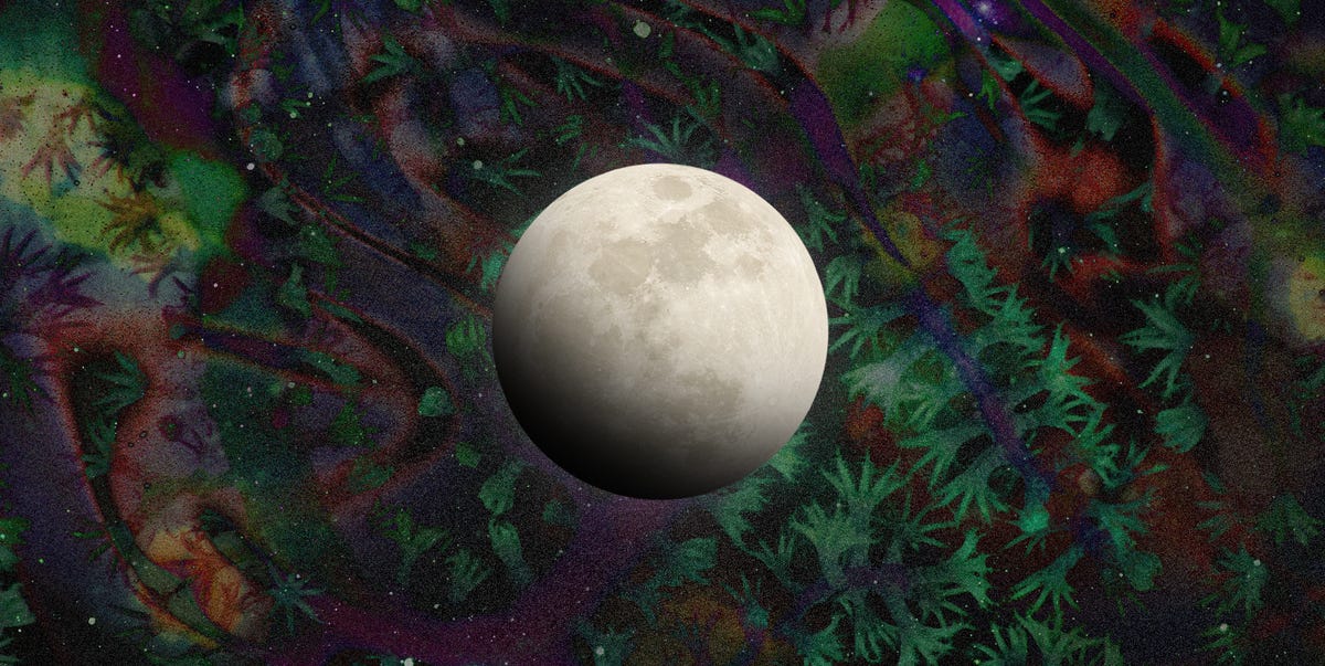 Your full moon calendar for 2025 - and what it all means