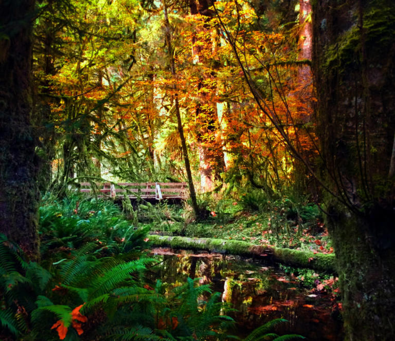 Amazing Pacific Northwest Weekend Getaways for Fall