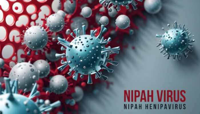 Nipah Virus Claims Student’s Life In Kerala: Why Extra Caution is Critical Nipah Virus Claims Student’s Life In Kerala: Why Extra Caution is Critical