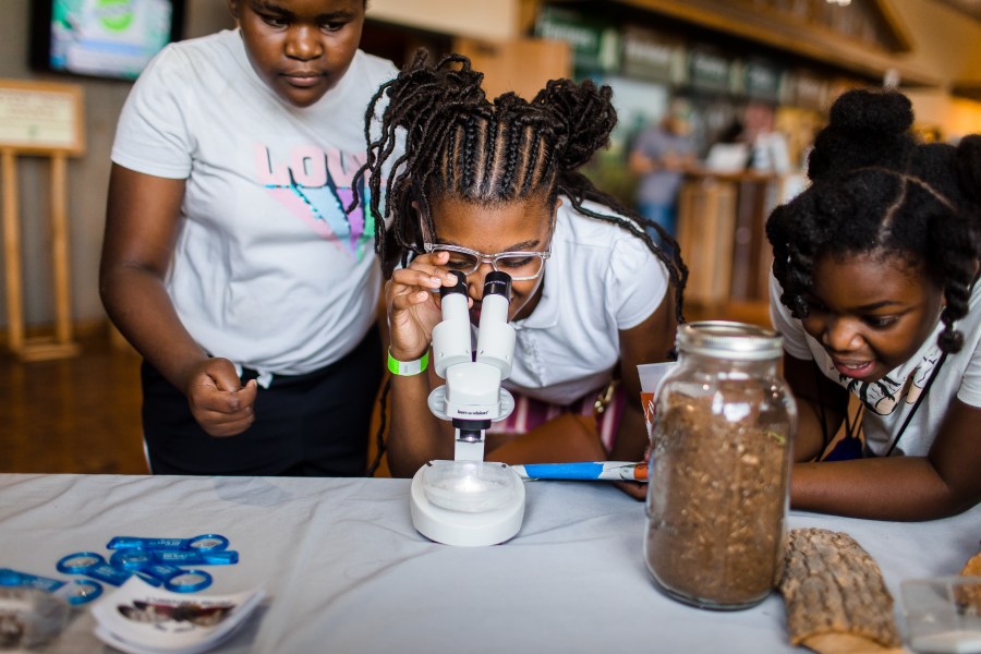 Mississippi Science Fest showcases STEAM events, activities