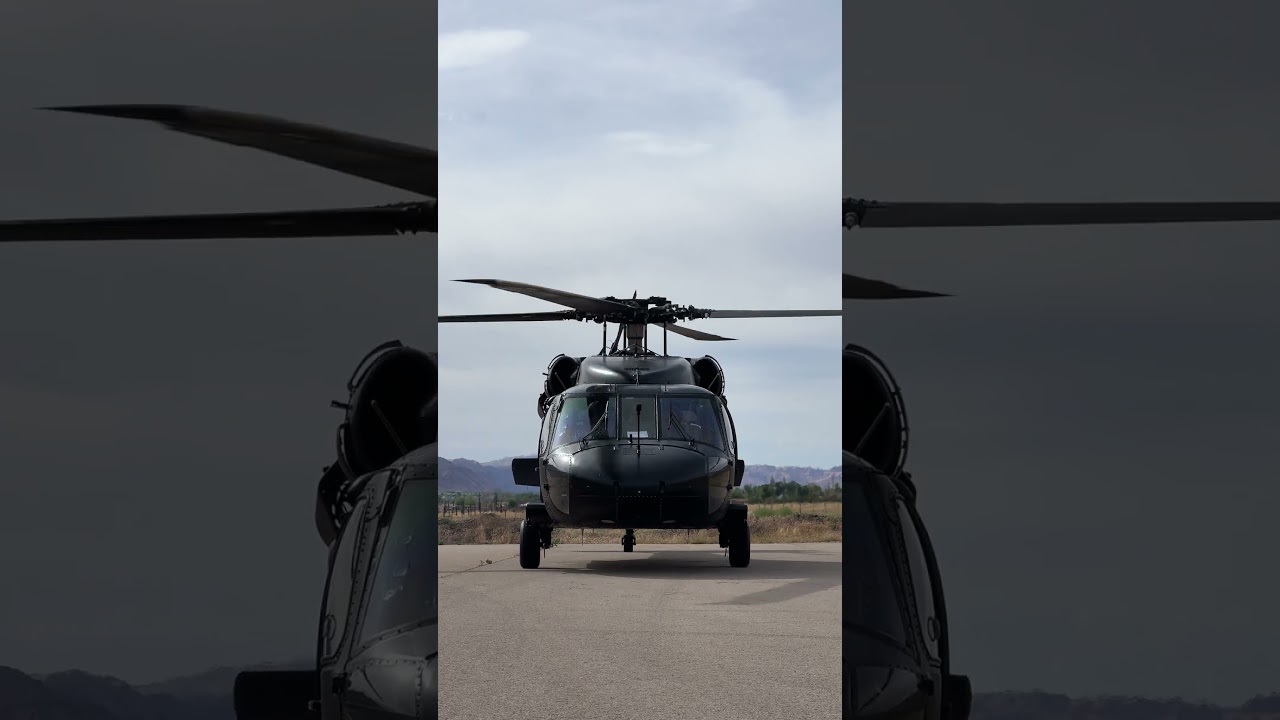 Intense Staring Contest You Have to See to Believe