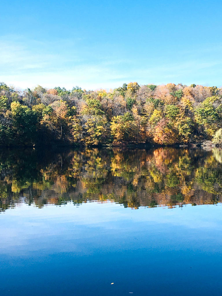 Project at Glacier Hills County Park would improve swimming and ...