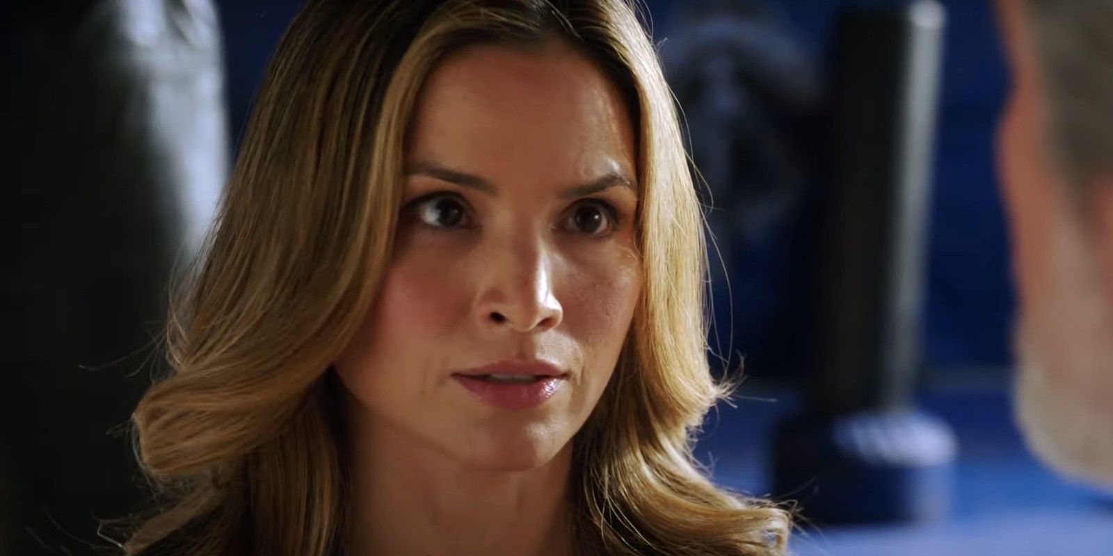 NCIS Season 22 Ending Explained: A Few Villain Twists As McGee & Parker ...