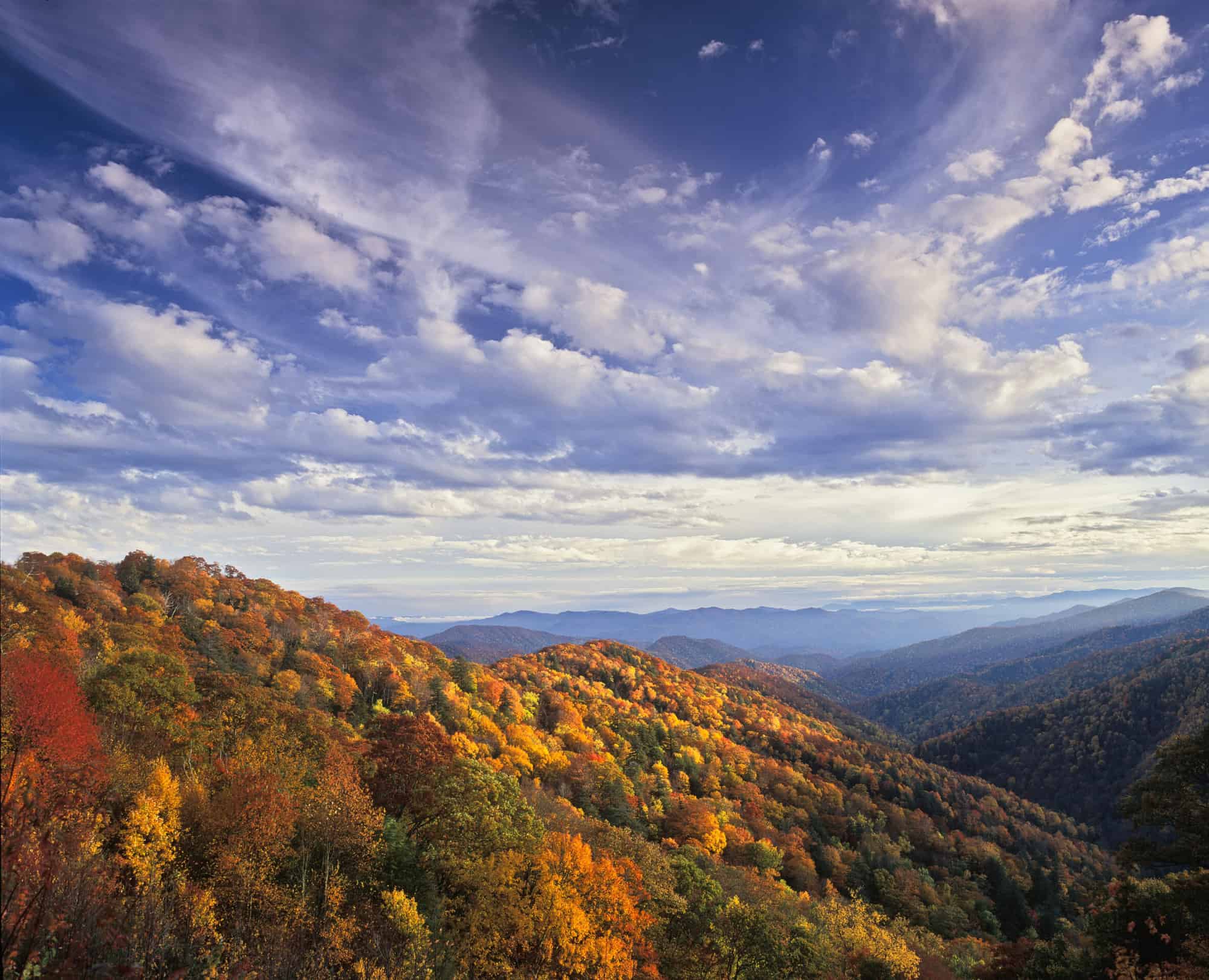 Fall in Tennessee- 15 Places to Enjoy Tennessee Fall Colors