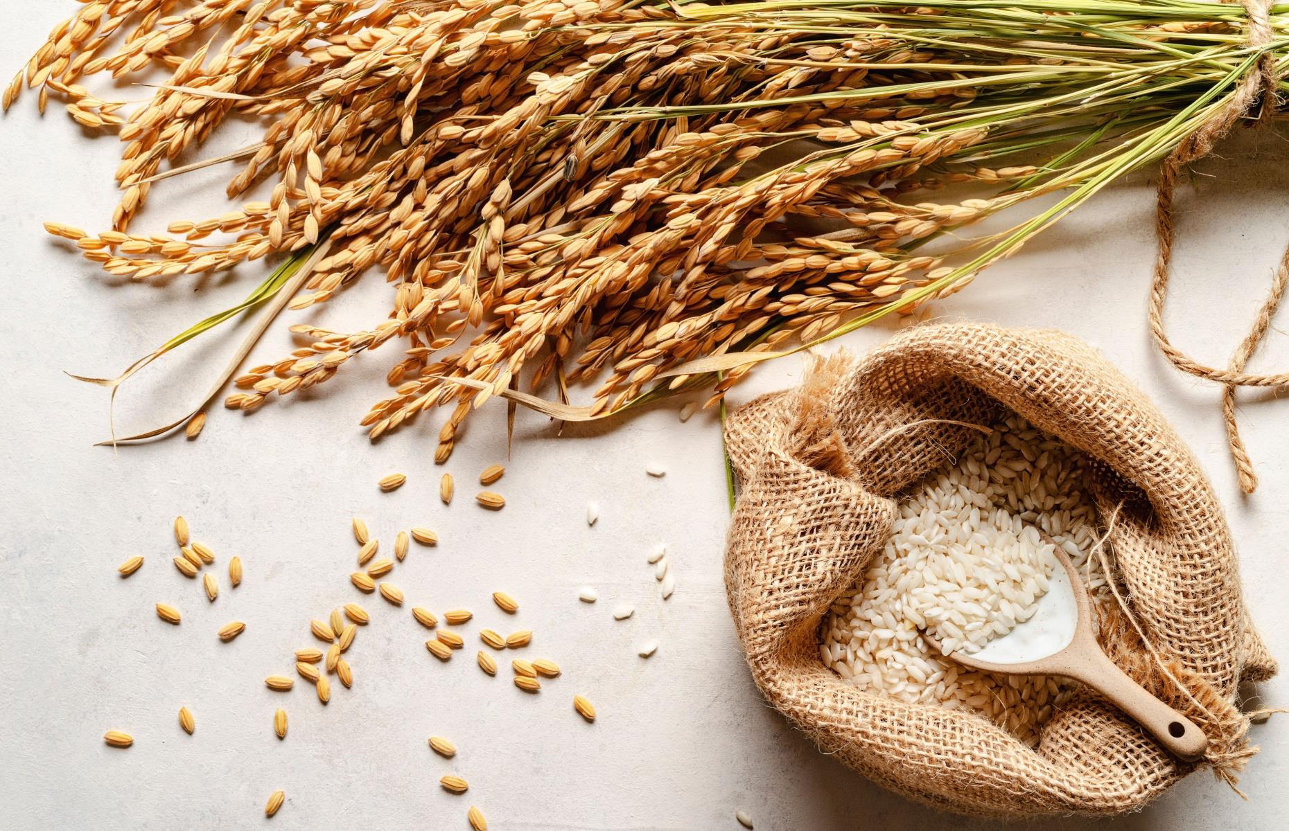 34 dangerous diets throughout history that are best left in the past
