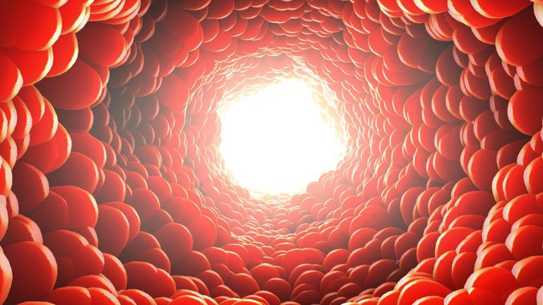 Inspira validates blood oxygenation system in first clinical use