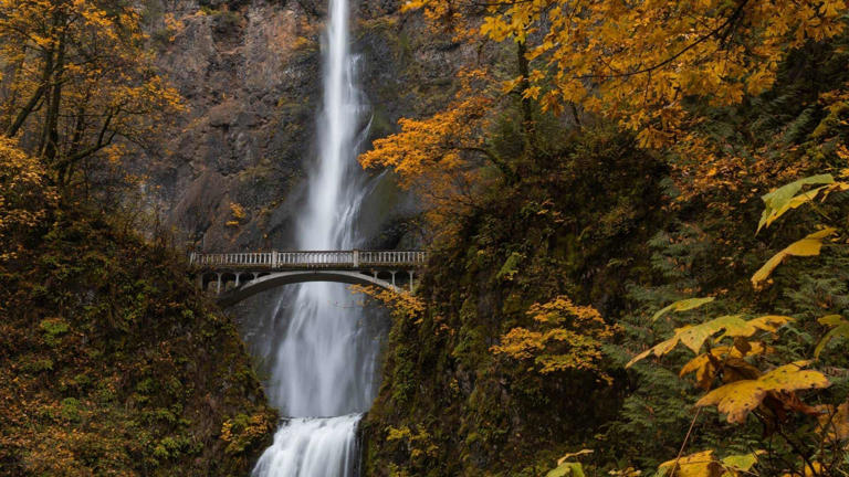 Oregon Fall Colors- 13 Places to See Oregon Fall Foliage