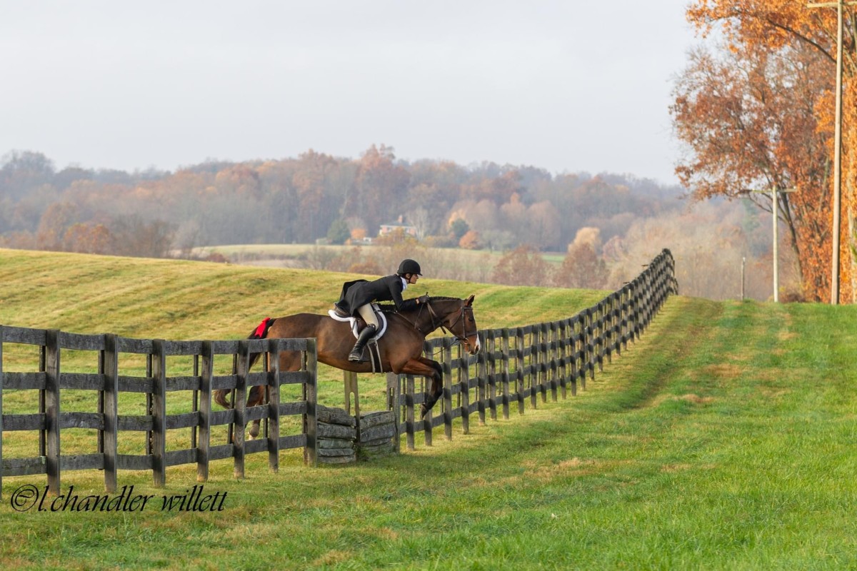 2025 Bill Kraatz Thoroughbred Makeover Ambassador Award Now Open For Nominations