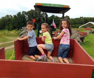 Apple Picking near Boston in 2025: Best Apple Farms and Apple Festivals ...
