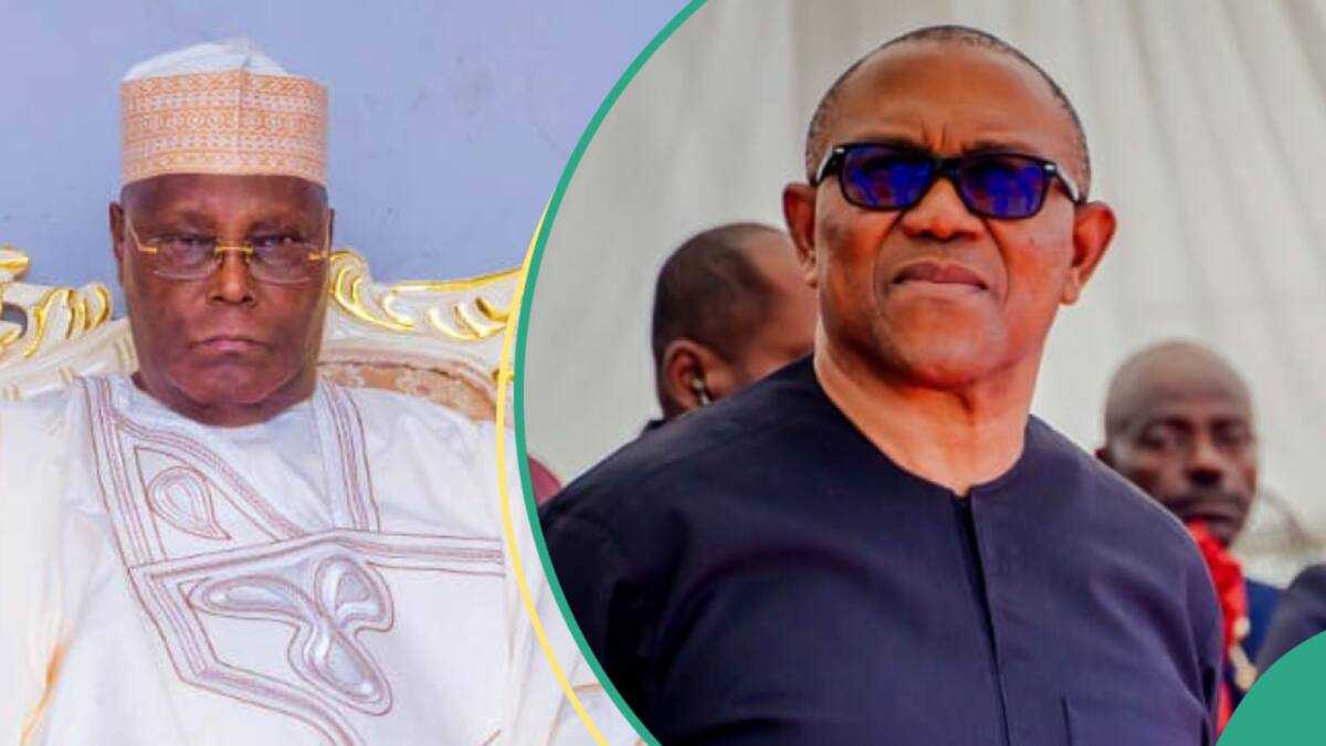 ADC chieftain affirms Peter Obi as presidential choice for 2027, calls ...