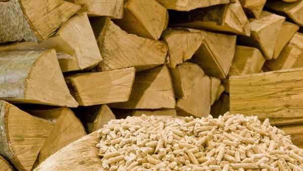 Wie klimafreundlich sind Holzheizungen wirklich? Wie klimafreundlich sind Holzheizungen wirklich?