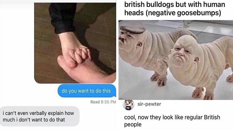 24 Cursed Images We Can't Stop Looking At