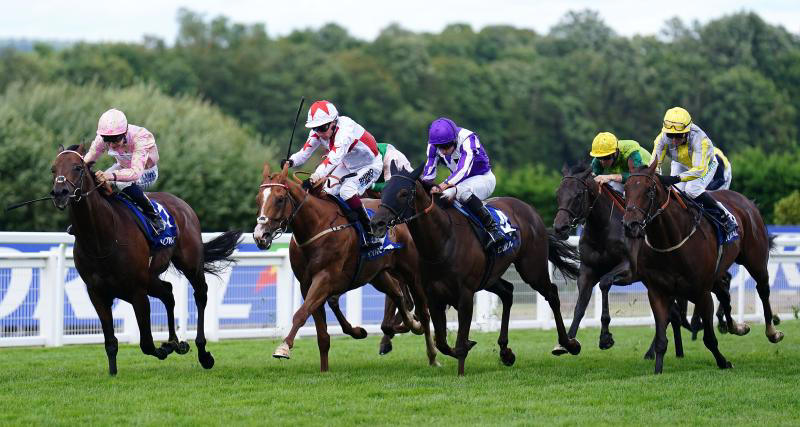 Hippisme : un cheval remporte une course ... avant de décéder après la ... Hippisme : un cheval remporte une course ... avant de décéder après la ...