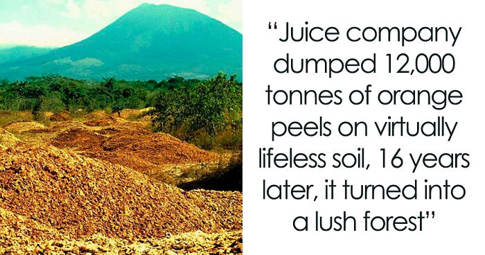 48 Of The Most Interesting Facts Ever Posted On “Today I Learned”