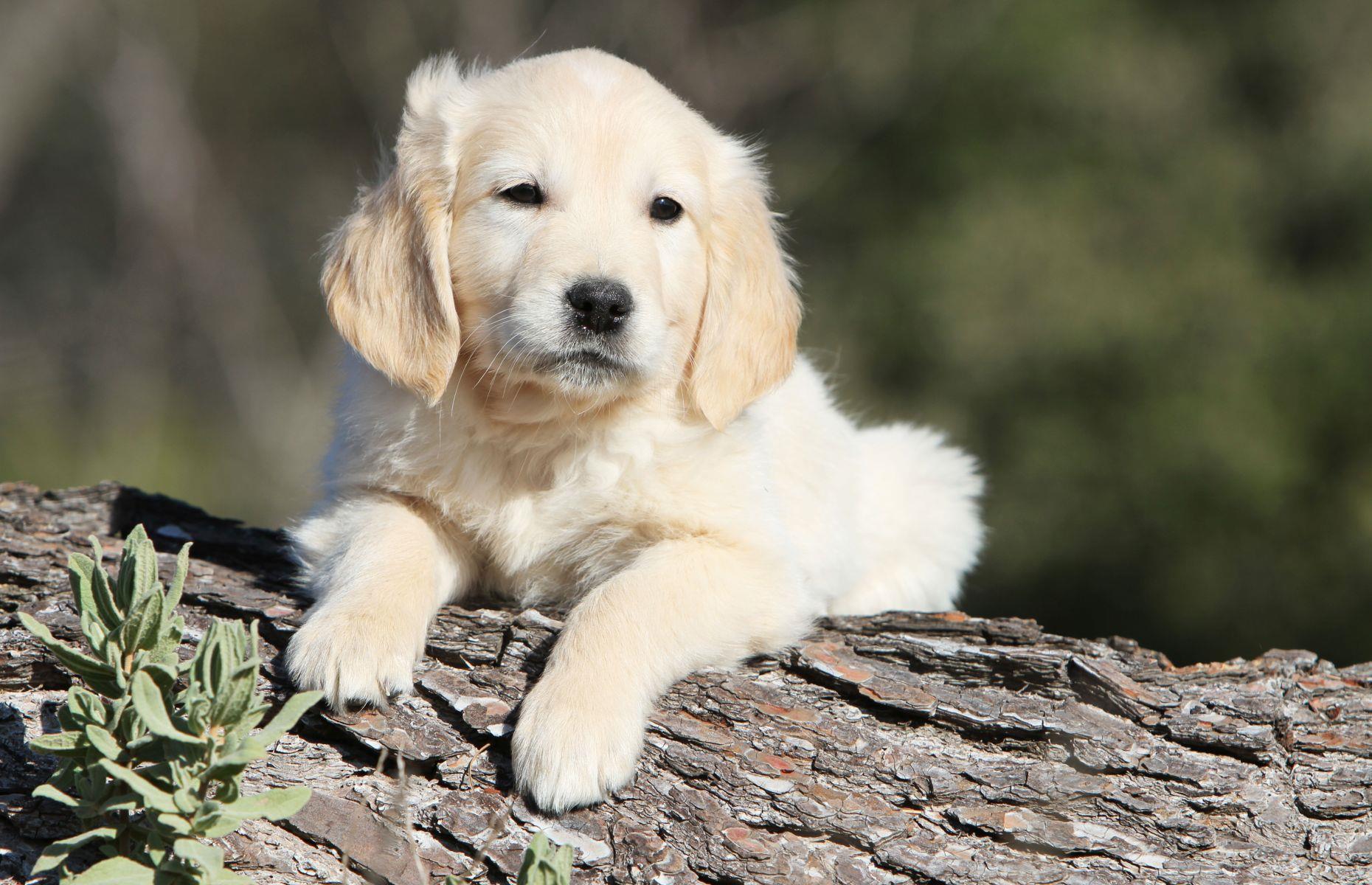 Tupperware files for chapter 11 bankruptcy, look at its rise through ...