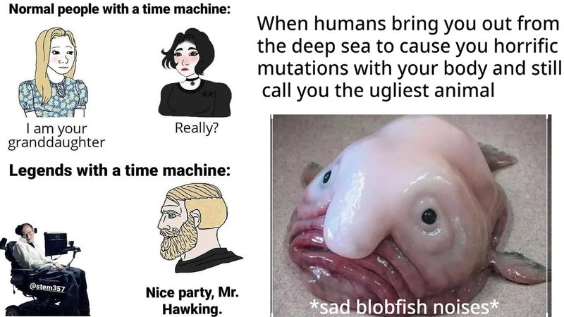 15 Science-Based Memes For Nerds