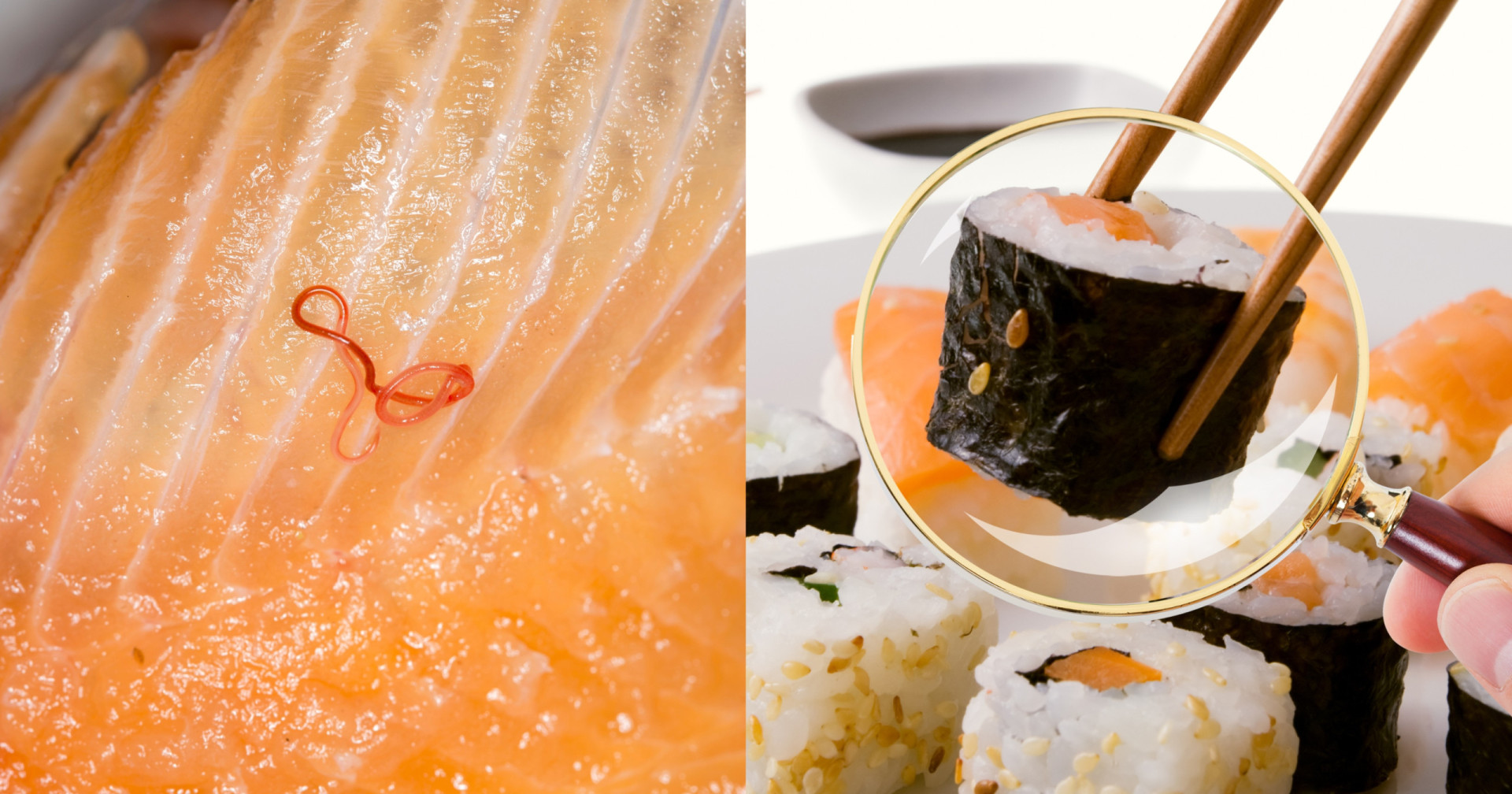 Attention à ce parasite qui se cache dans vos sushis