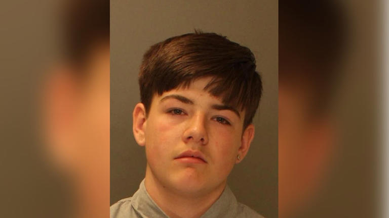 Witnesses take stand in trial for boy charged with murder of 12-year ... Witnesses take stand in trial for boy charged with murder of 12-year ...