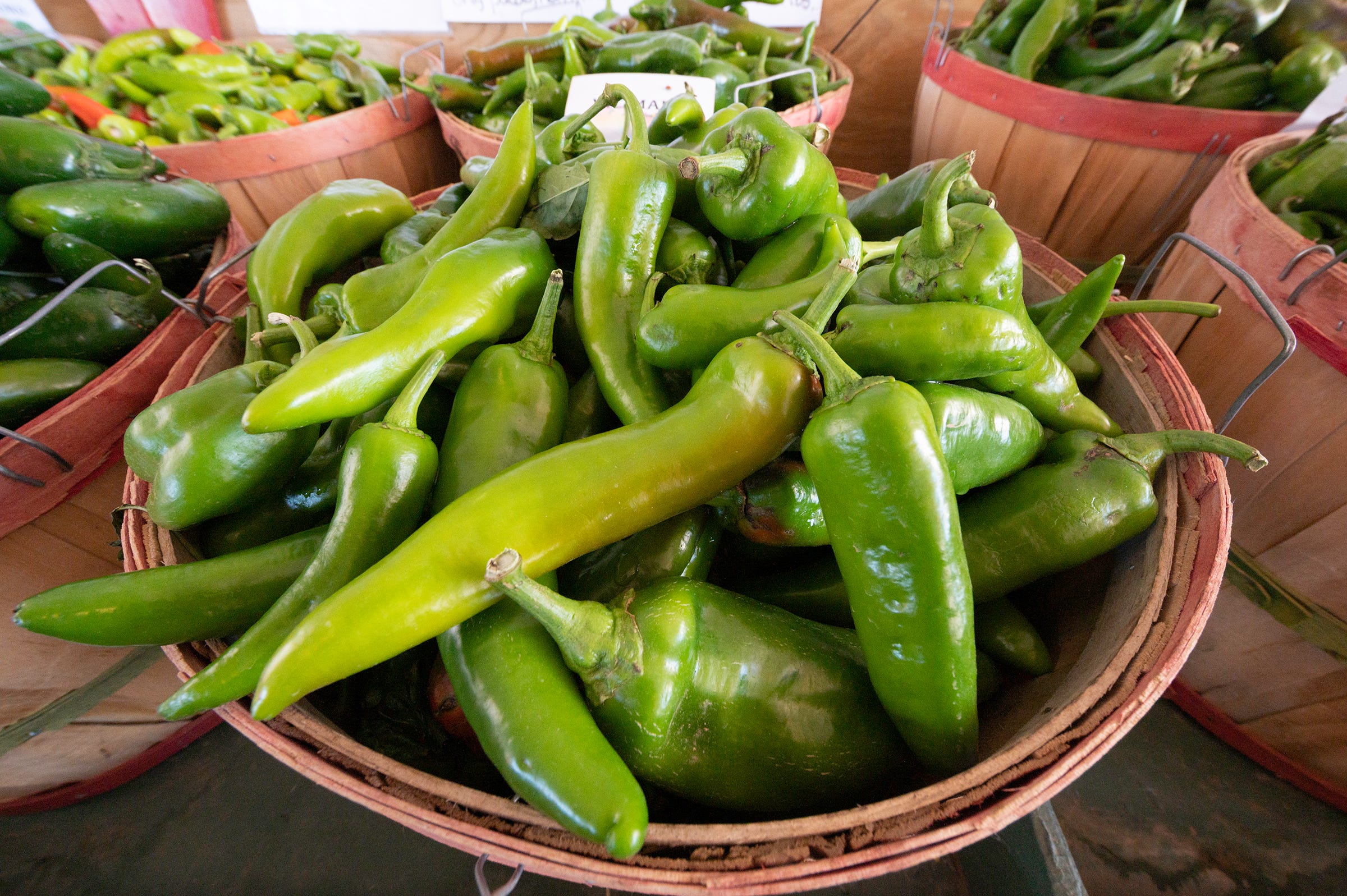 The Pueblo chile crop is 'amazing' this year. Here's what to know about ...