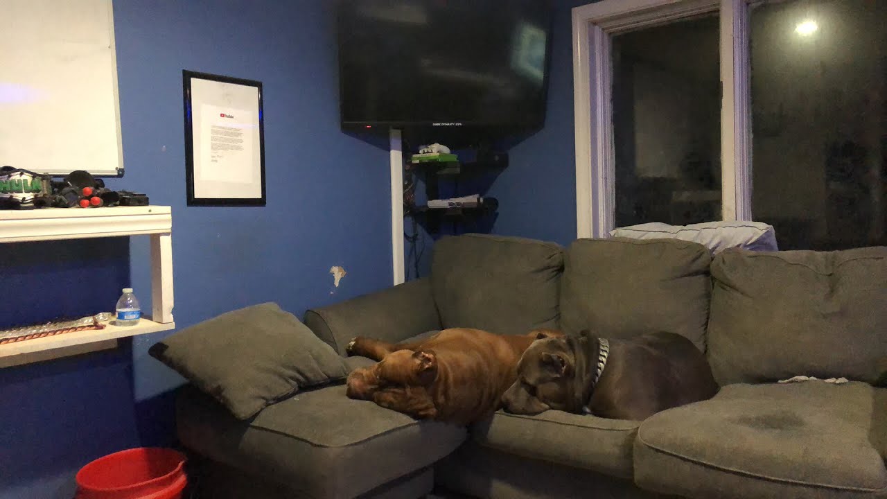 Live Footage of Kobe and Hulk—Come Hang Out
