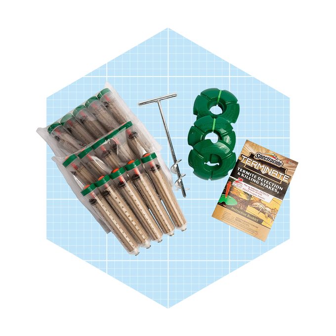 The 5 Best Termite Treatments & Sprays for DIY Pest Control