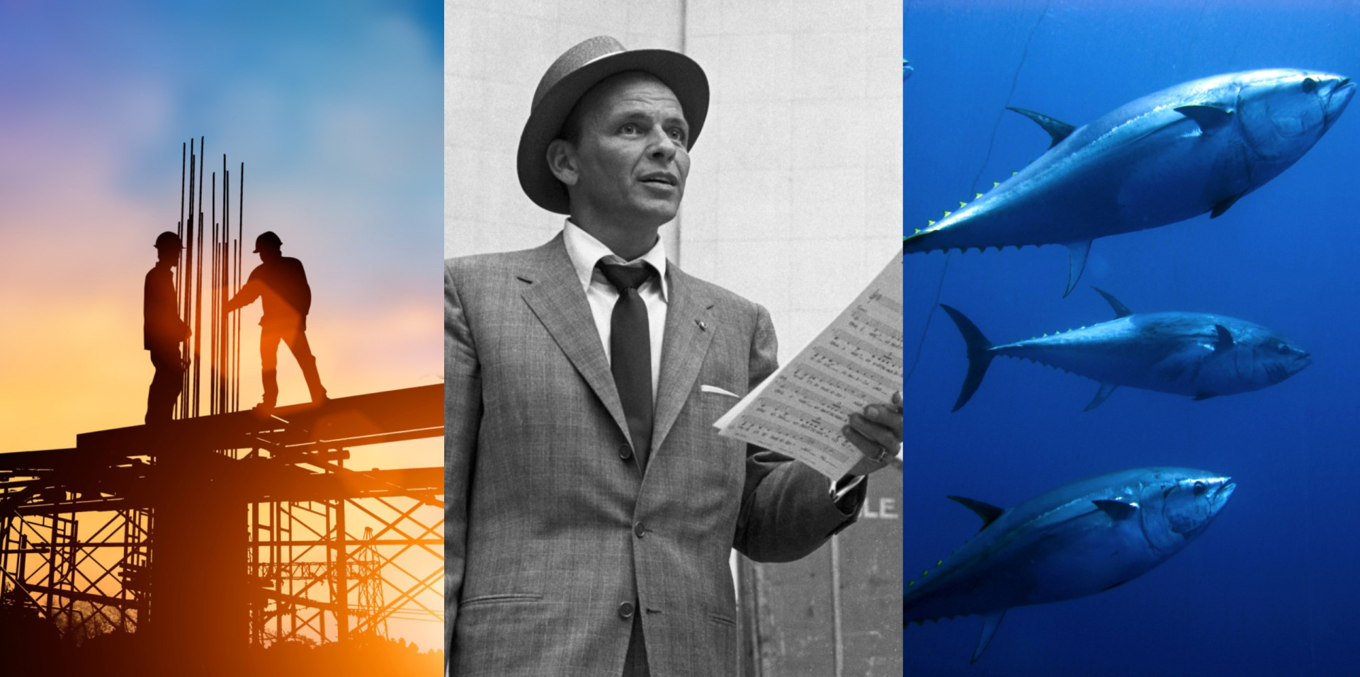 Ces secteurs où la mafia exercait son contrôle