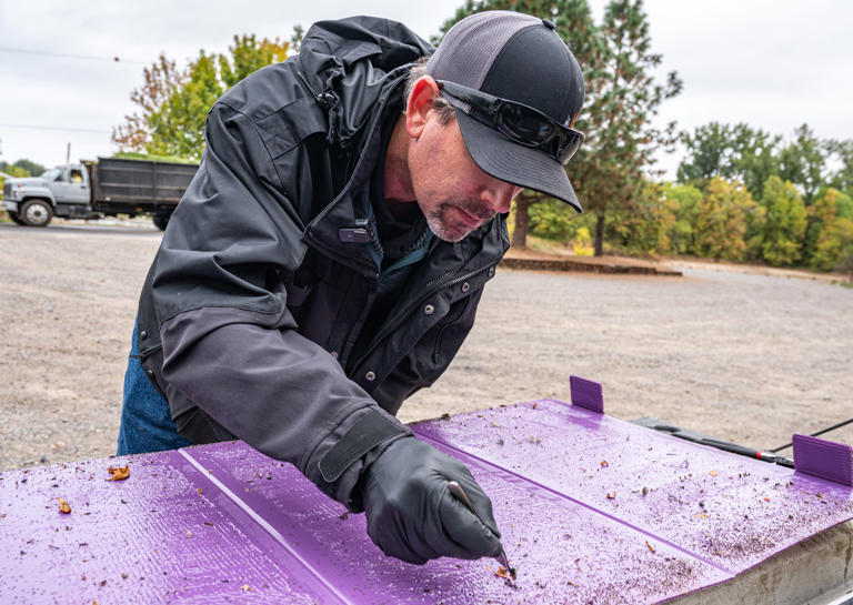 What is the emerald ash borer and how did the devastating bug arrive in ...