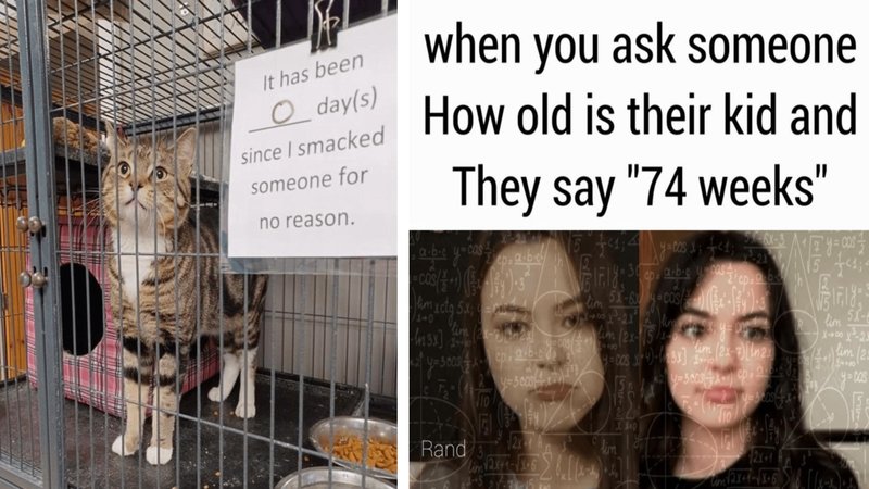 23 Very Relatable Memes To Relate To Your Fellow Man