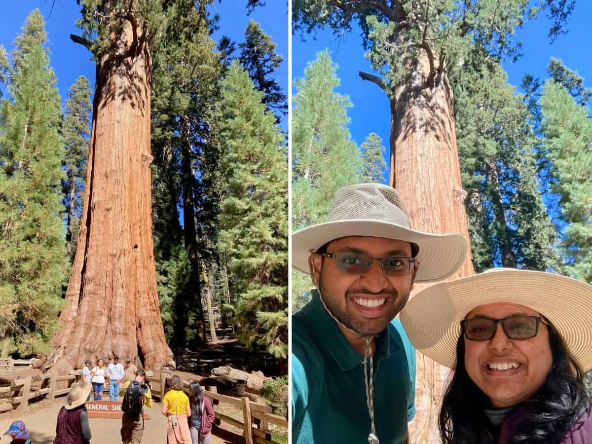 Beyond the World’s Largest Tree, This Park Gets Brutal, Beautiful, and ...