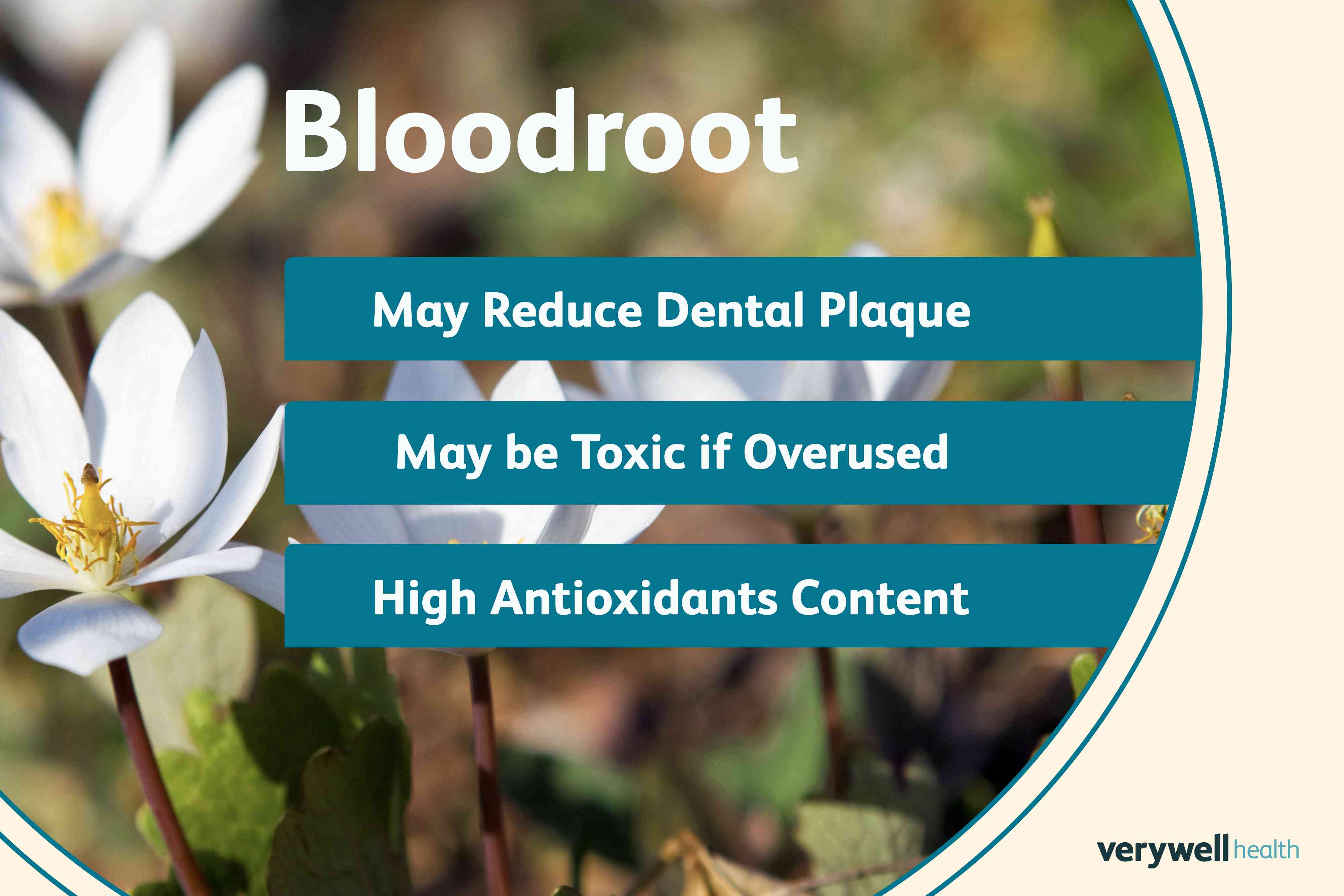 What Is Bloodroot Used for and Is It Safe?