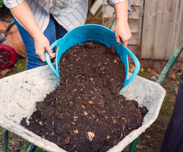 Why is my compost heap not heating up? Composting experts share 5 ...