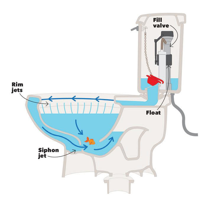 How Does a Toilet Actually Work?