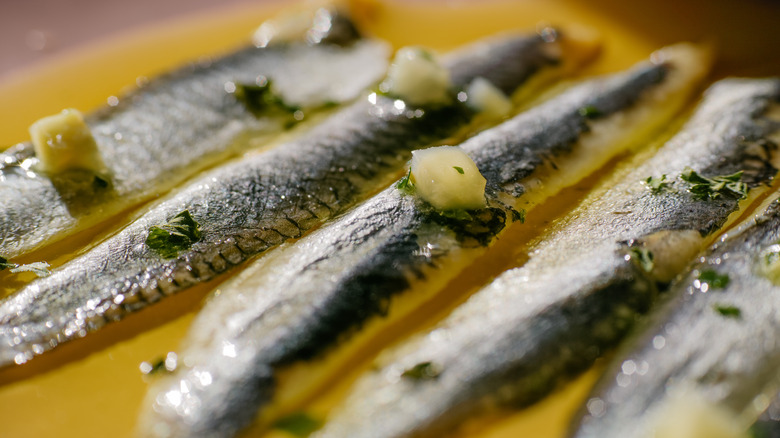 14 Canned Fish You Should Have In Your Pantry