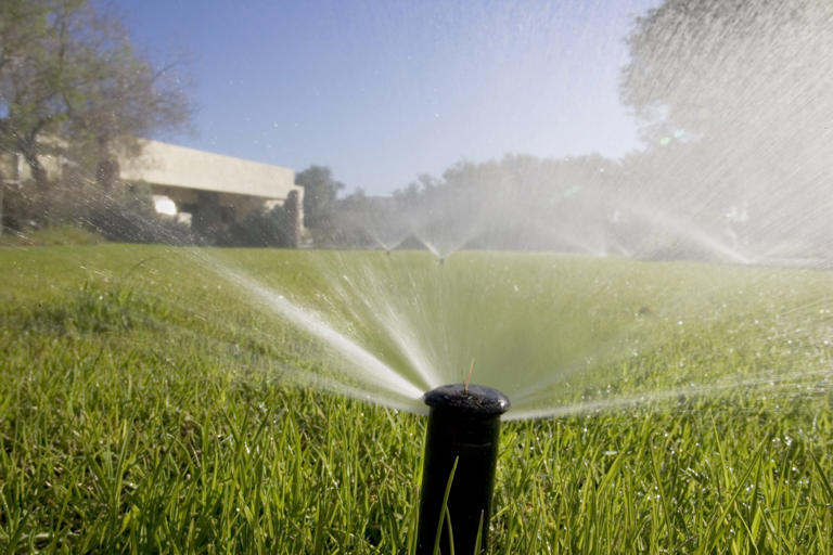 Rain is forecast, but won't end the drought. Here's how to keep yards ...