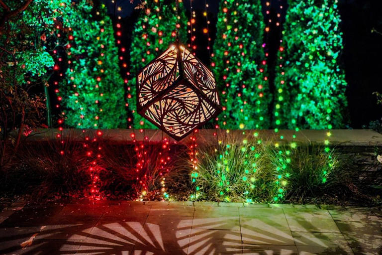 Best Things to Do in Raleigh this Weekend (Nov 3 – Nov 9, 2025)