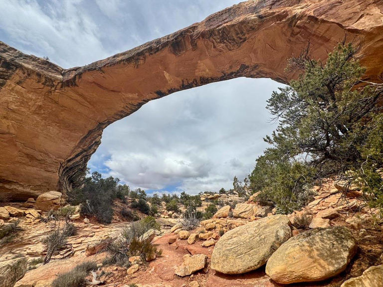 Natural Bridges National Monument Guide: Utah