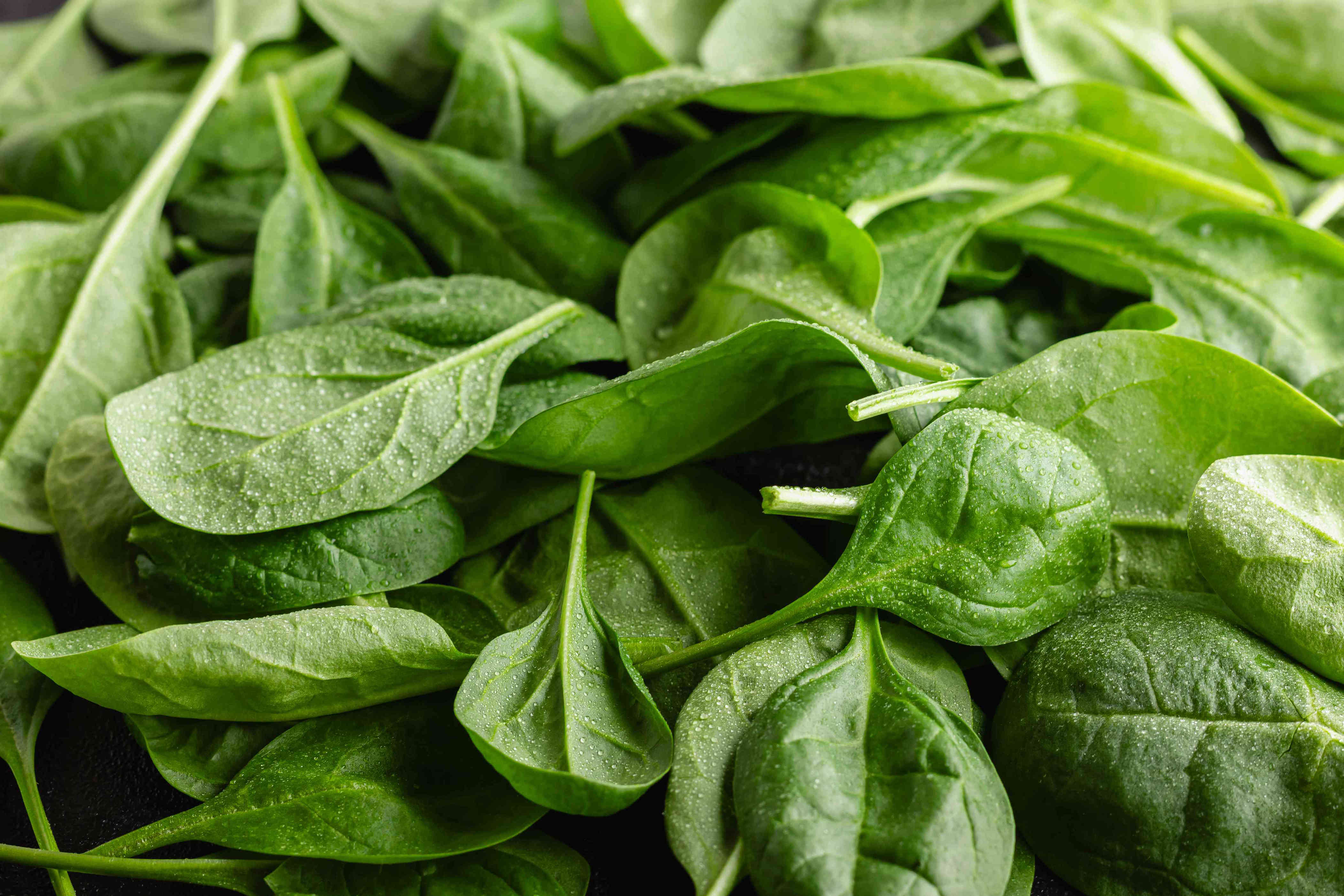 How To Store Fresh Spinach So It Stays Fresh Longer