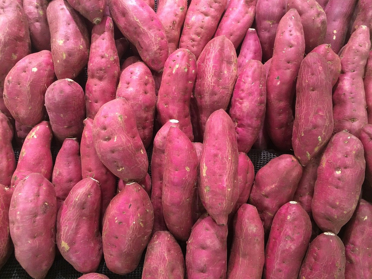 Batata-doce vai além da dieta fitness e reúne diferentes benefícios
