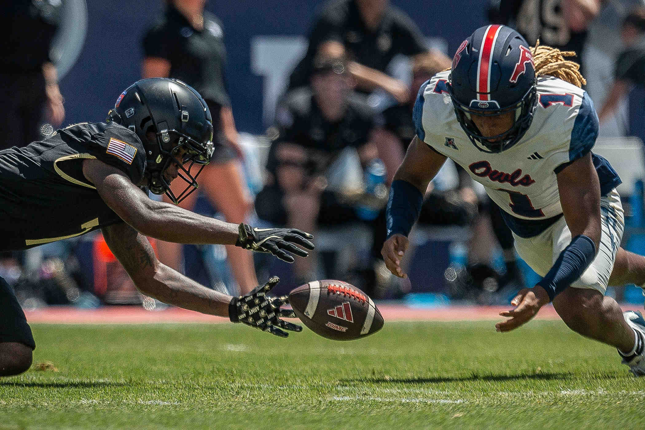 FAU takes step back in Tom Herman's rebuild, but it will not throw coach off track | D'Angelo