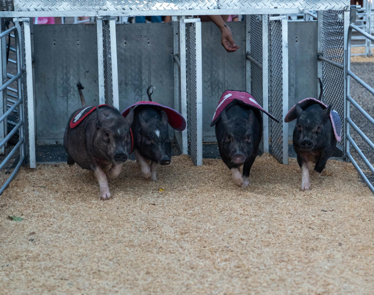 Tri-State Fair & Rodeo gets ready for its 102nd annual run