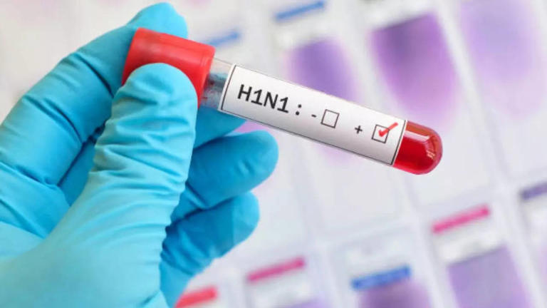Delhi Faces Worse H1N1 Swine Flu Outbreak in Years As Cases Rise; Here ...