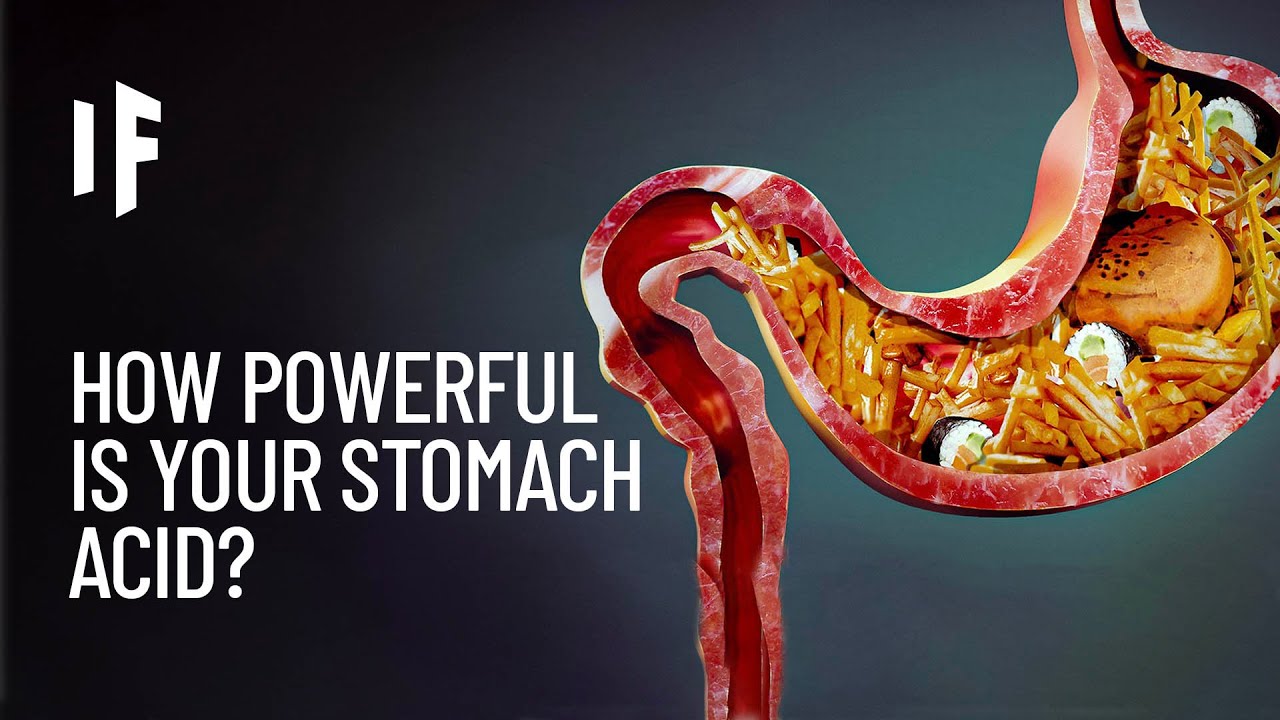What happens if your stomach acid disappeared?