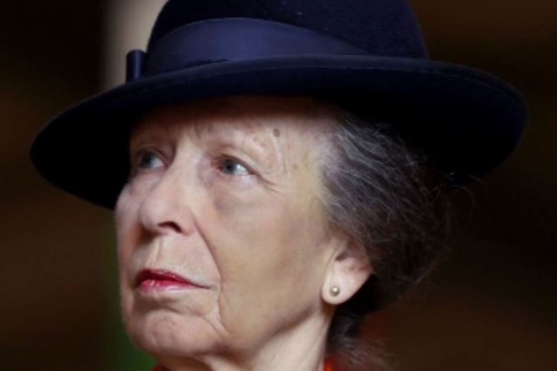 Princess Anne's thinly-veiled dig at Meghan and Harry as she 'reveals ... Princess Anne's thinly-veiled dig at Meghan and Harry as she 'reveals ...