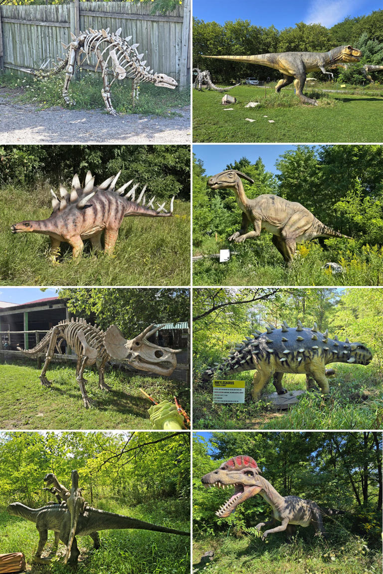 Canada's Dinosaur Park