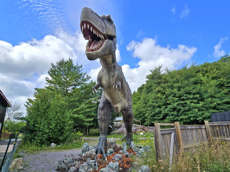 Canada's Dinosaur Park